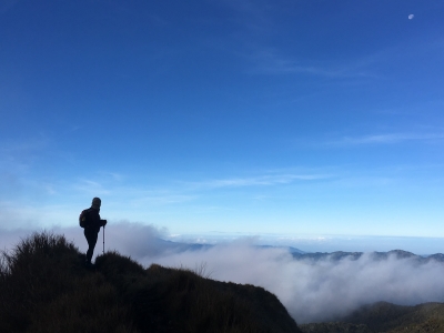 Mt. Pulag | Philippines Hiking | Mountain Climbing and Treks by Trail ...